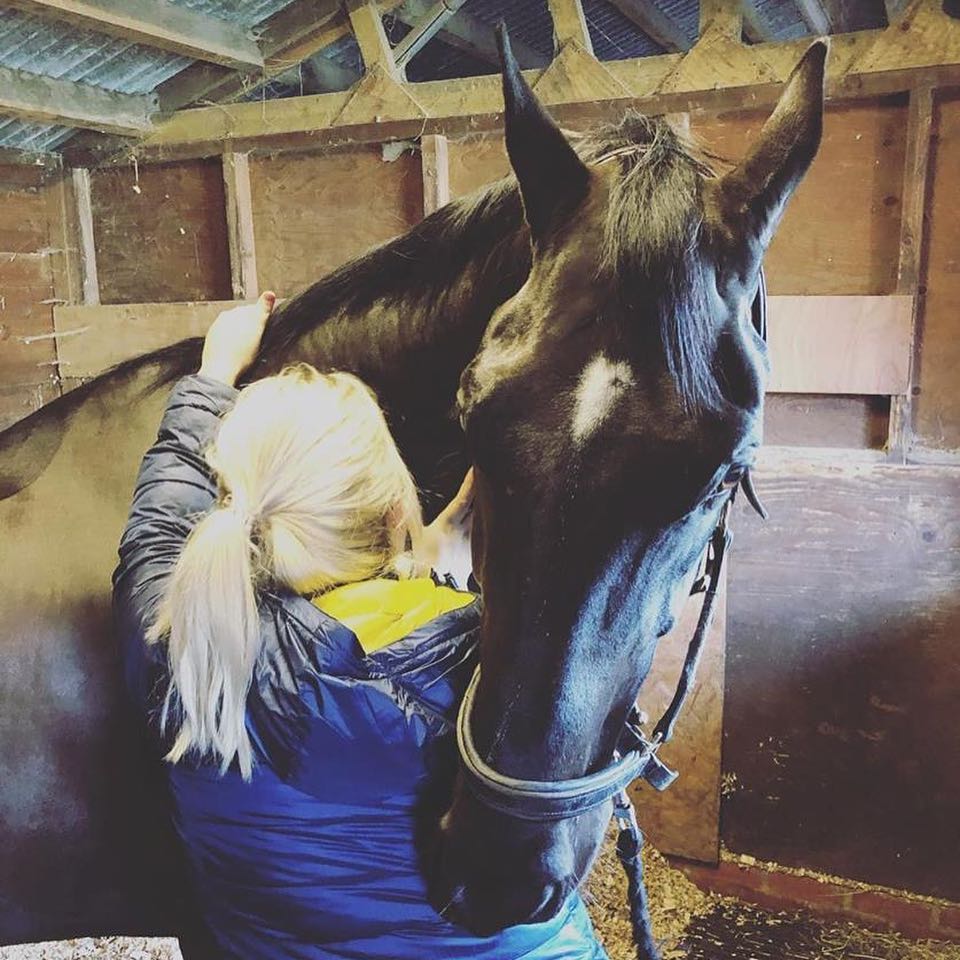 Equine Veterinary Physiotherapy - Herts Horses